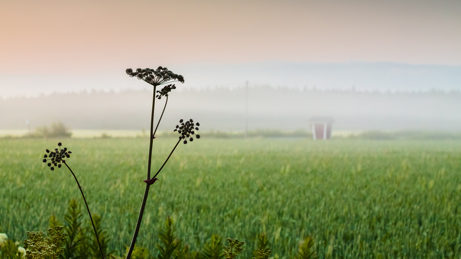 EU’s Zero Pollution Action Plan contributes to the transition to clean ...