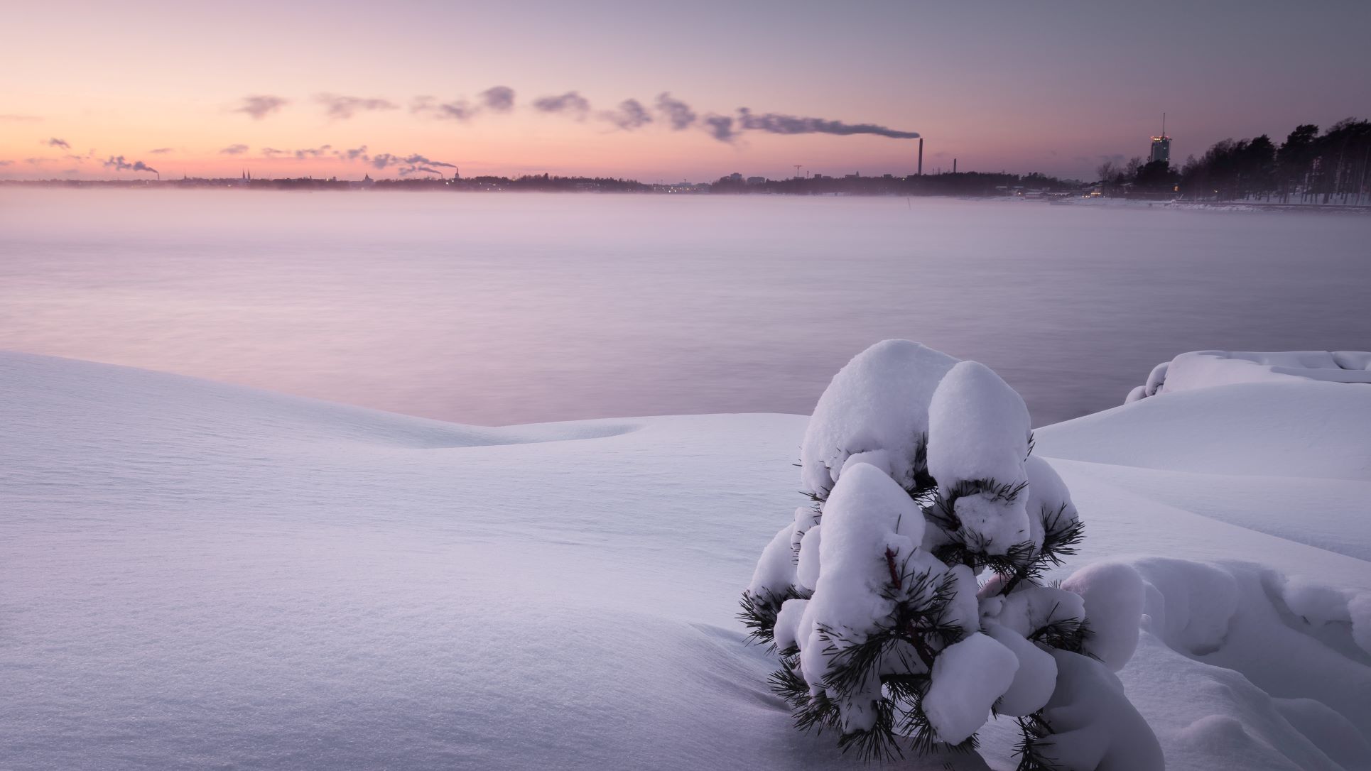 Suhdannebarometri - tammikuu 2025 - Elinkeinoelämän keskusliitto
